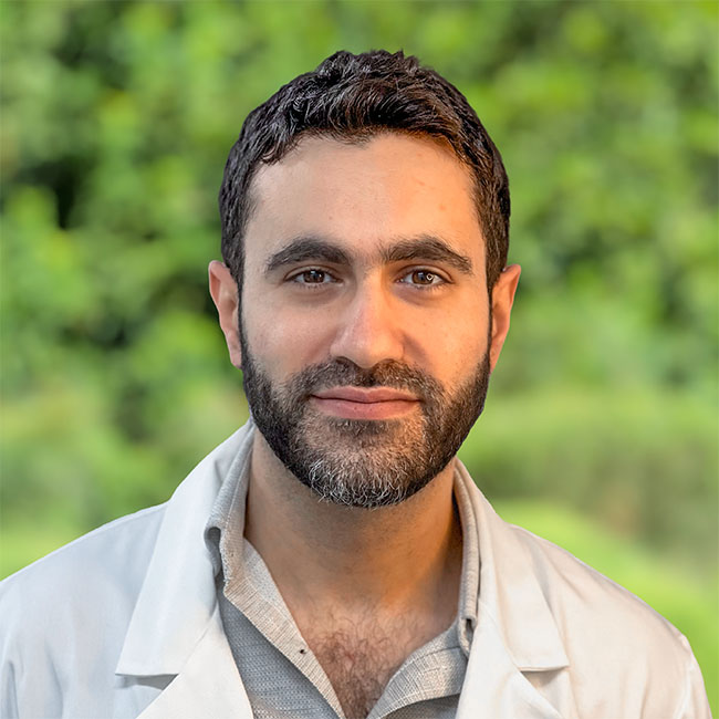 Electroencefalograma (EEG): Precio Fonasa - Clínica Somno